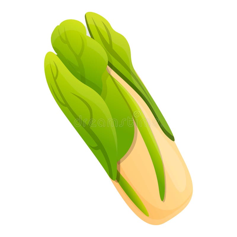 Cooking Cabbage Icon, Cartoon Style Stock Vector - Illustration of ...