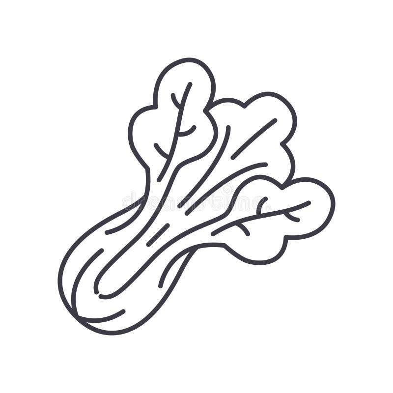 Chinese Cabbage Icon, Black Vector Sign with Editable Strokes, Concept ...