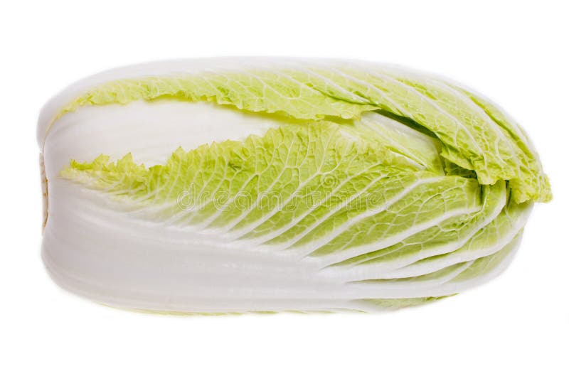 Chinese cabbage stock photo. Image of salad, food, garden - 35332452