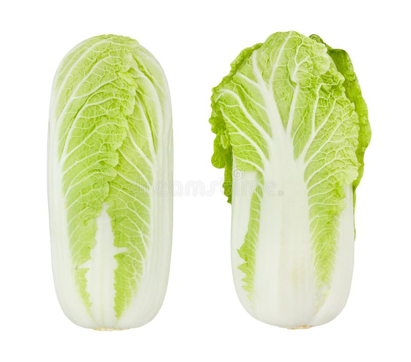 Chinese cabbage stock photo. Image of fresh, chinese - 85855196