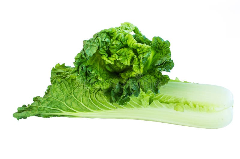 Michilli Isolate Stock Photos - Free & Royalty-Free Stock Photos from ...