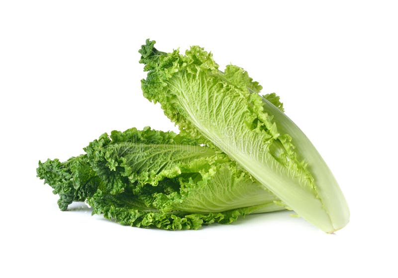 Michilli Stock Photos - Free & Royalty-Free Stock Photos from Dreamstime