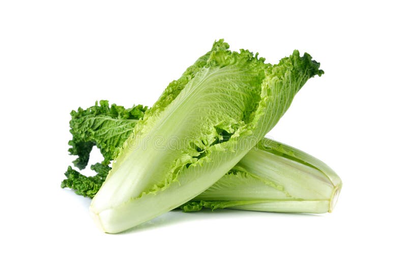 Eggplant Rosa Bianca stock photo. Image of garden, fruit - 7079084