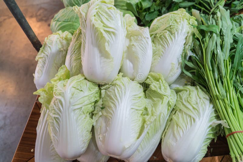 Chinese Cabbage or Napa Cabbage Stock Photo - Image of cabbage, chinese ...