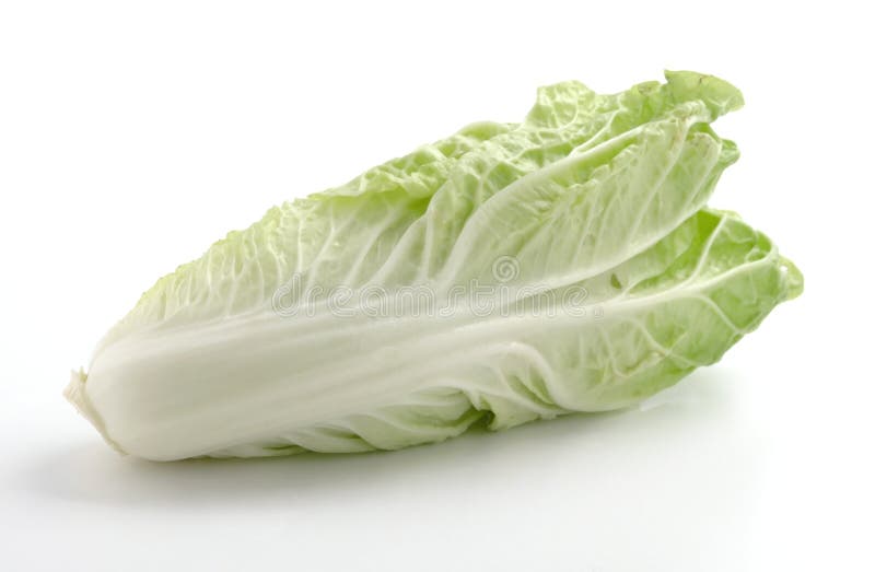 Baby Napa Cabbage Stock Photos - Free & Royalty-Free Stock Photos from ...