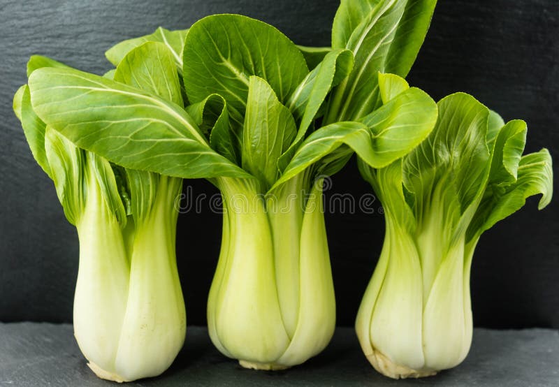 Cabbage pak choi stock image. Image of chinensis, kitchen - 183442665