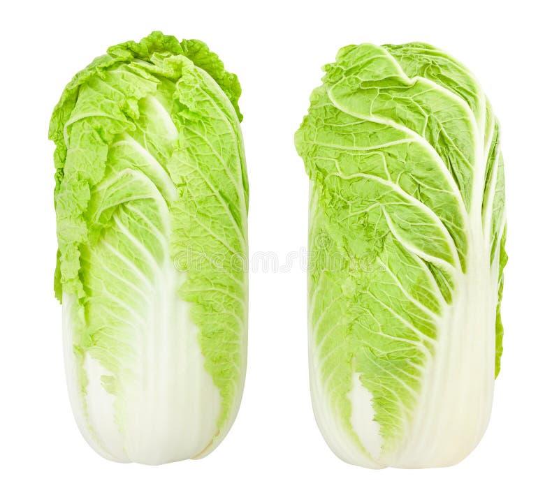 Chinese cabbage stock photo. Image of closeup, juicy - 123566242