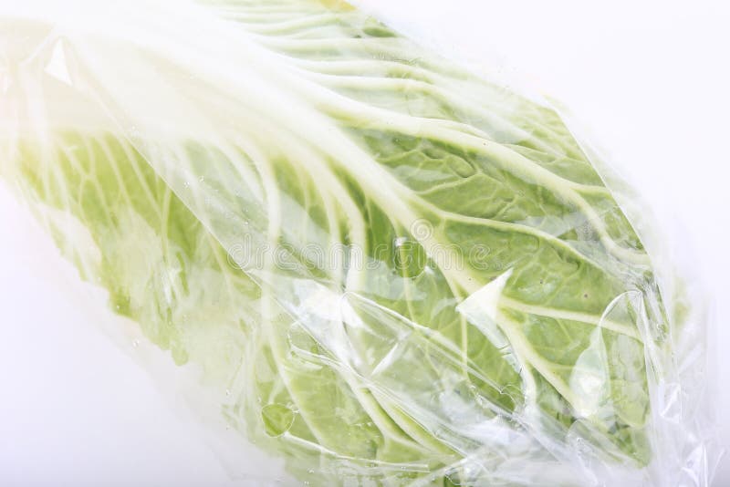 Chinese Cabbage in a Plastic Bag Stock Image - Image of closeup ...