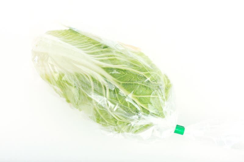 Chinese Cabbage in a Plastic Bag Stock Photo - Image of vitamin, head ...