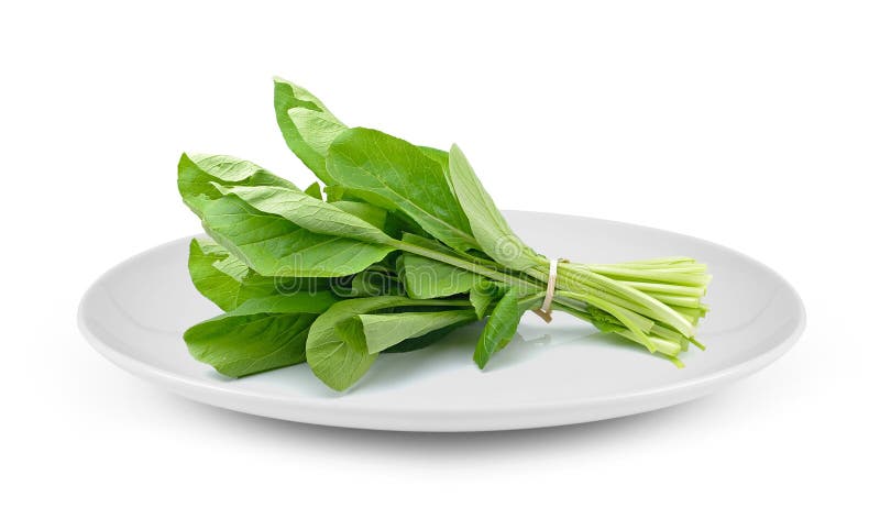 Chinese Cabbage in Plate Isolated on White Background Stock Image ...