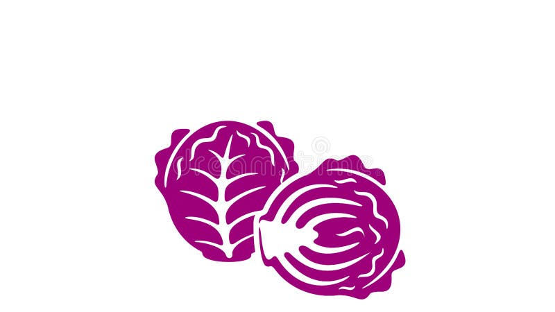 Chinese Cabbage, Red Cabbage and White Cabbage, Graphic Animation. Red ...