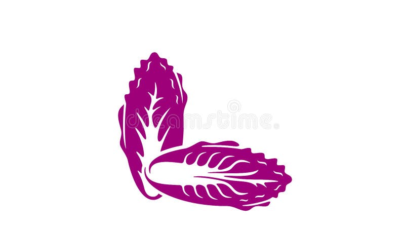 Chinese Cabbage, Red Cabbage and White Cabbage, Graphic Animation. Red ...