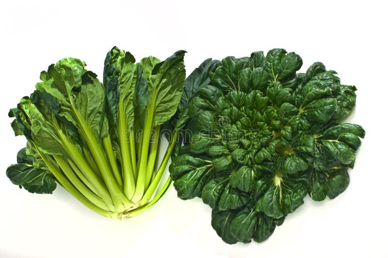 Chinese vegetable-chye sim stock photo. Image of fresh - 4538854