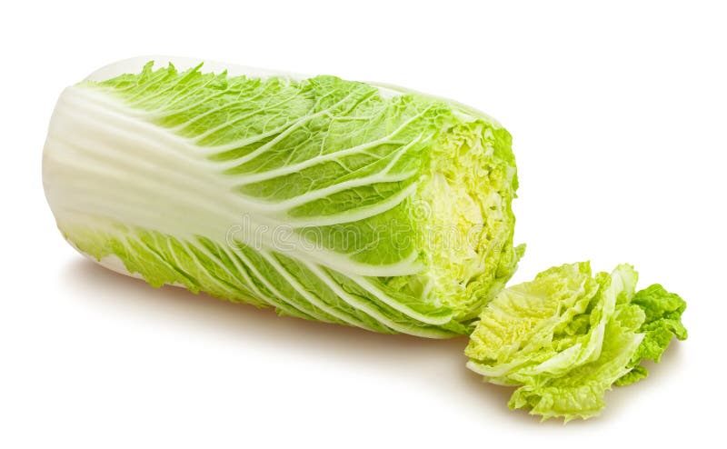 Chinese cabbage stock image. Image of sliced, slice - 123566223
