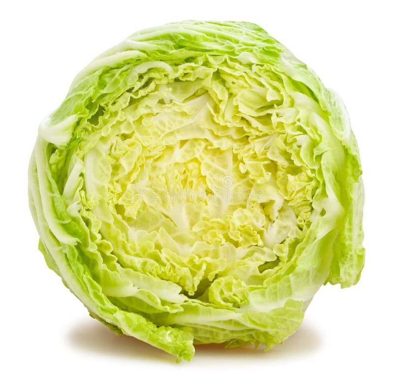 Chinese cabbage stock photo. Image of closeup, juicy - 123566242