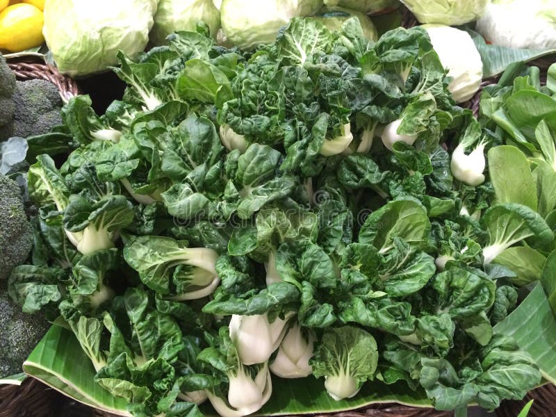 Chinese Cabbage Vegetable Market Stock Photo - Image of cooking ...