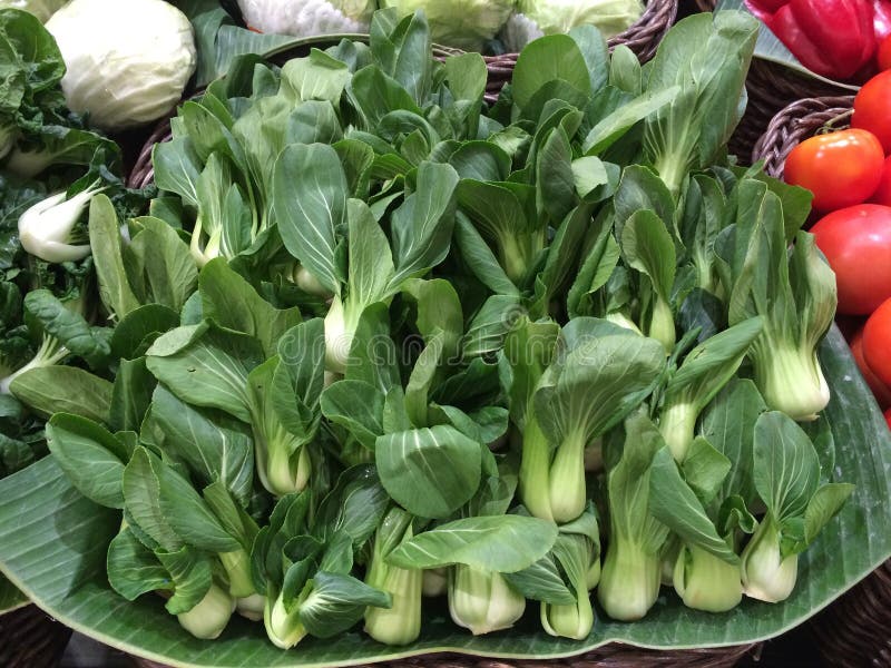 Chinese Cabbage Vegetable Market Stock Image - Image of kale, freshness ...