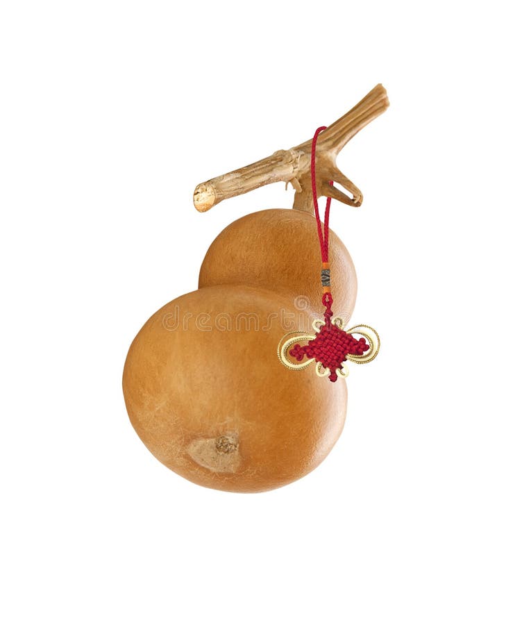 Chinese calabash with knot stock image. Image of healthy - 41019541