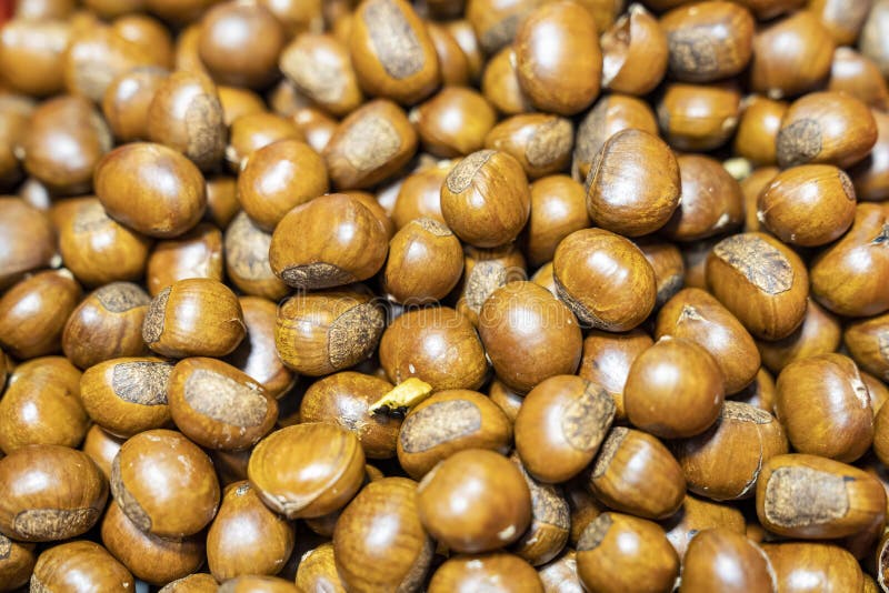 Chinese Chestnut. a Lot of Roast Chestnut Stock Image - Image of group ...