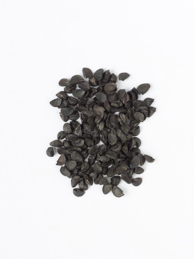 Chinese chive seed stock photo. Image of eating, studio - 91914562