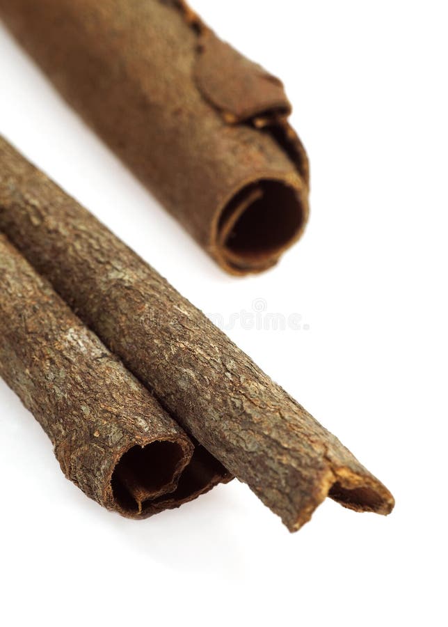 Cinnamon (Cassia) stock photo. Image of eating, cinnamon - 4097820