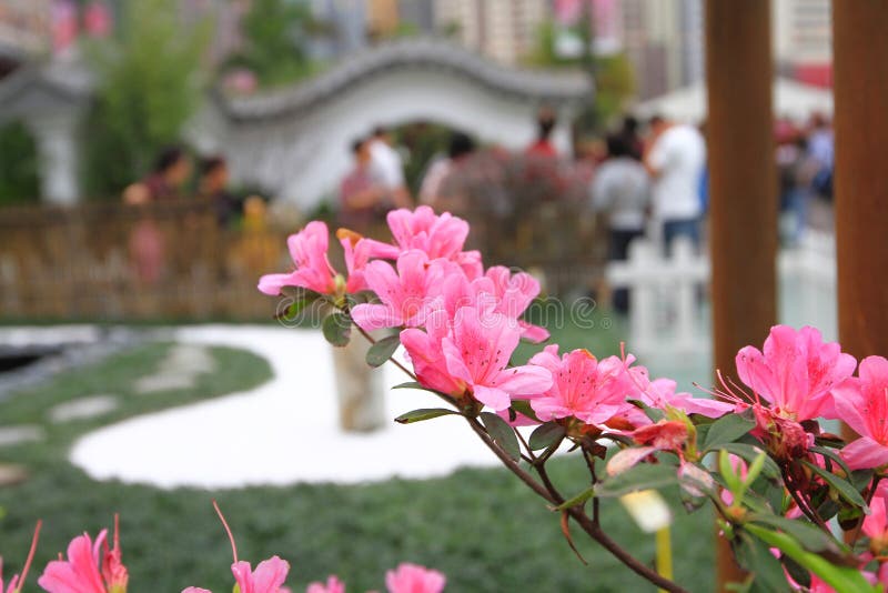 A Chinese Classical Gardens at the Spring Flower Show Stock Image ...