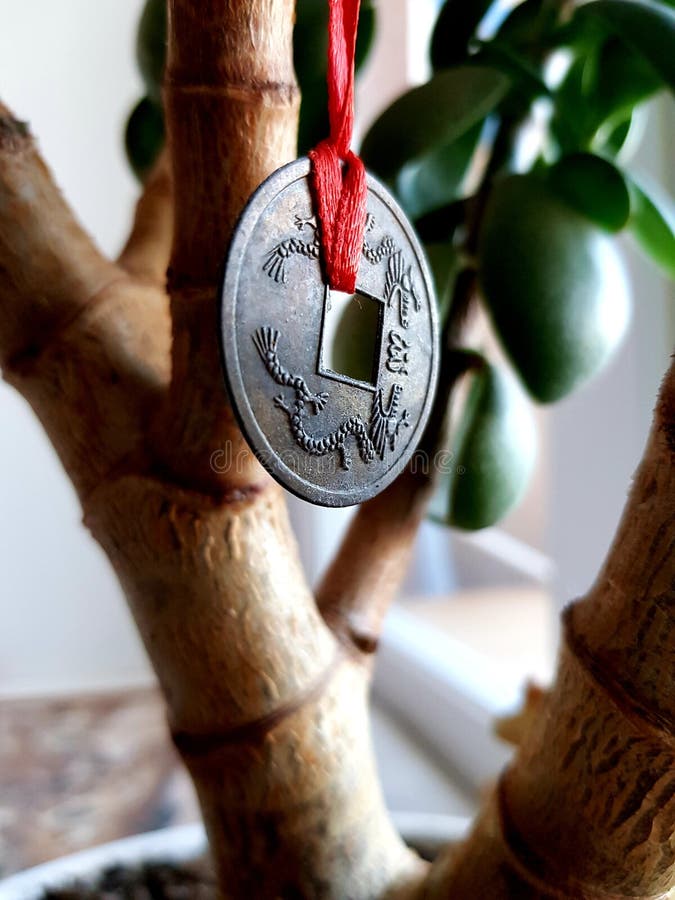 Chinese Coin for Luck and Wealth Hanging on the Tree Stock Photo ...