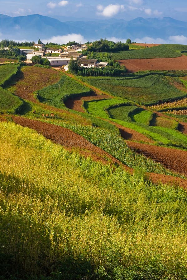 Chinese Countryside Village (1) Stock Image - Image of hongtudi, grass ...