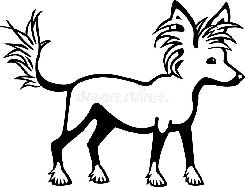 Illustration With Chinese Crested Dog Stock Vector - Illustration of funny, breed: 36134099