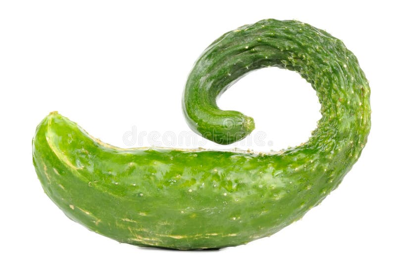 Chinese Cucumber stock image. Image of chinese, bumpy - 21555485
