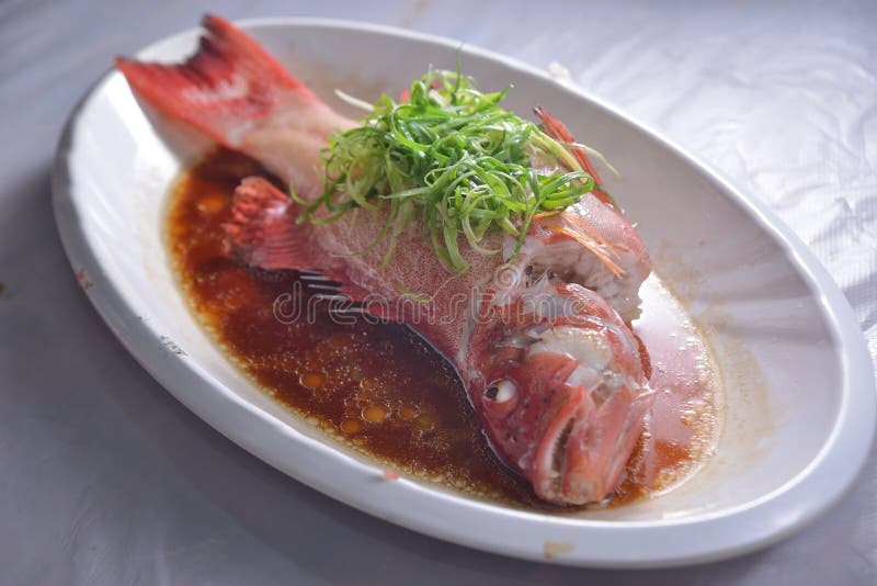 Grouper fish cuisine stock photo. Image of pork, leek - 230494730