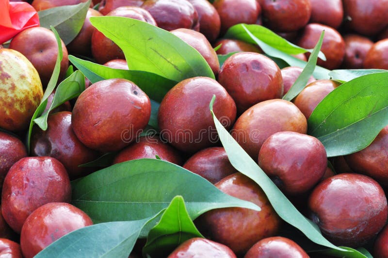 Verse dadels stock foto. Image of gezondheid, rood, straat - 20947508