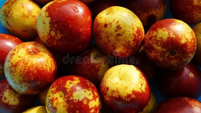 Chinese date stock image. Image of color, dried, circle - 17179845