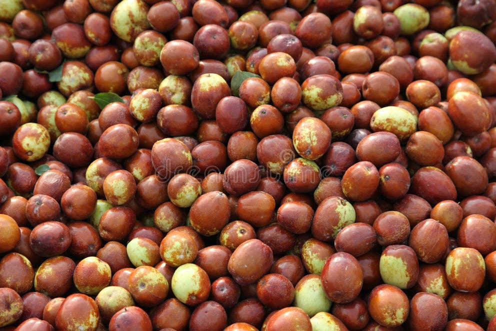 Chinese dates stock image. Image of back, date, supermarket - 11916431