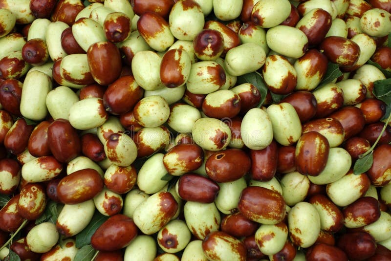 Chinese Red Dates Marinated with Wine. Stock Photo - Image of sweet ...