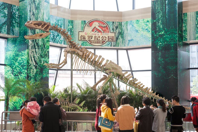 Chinese Dinosaur Skeleton on Display Editorial Photo - Image of ...