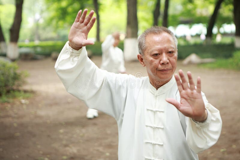 Chinese do taichi outside stock image. Image of lake - 19823997