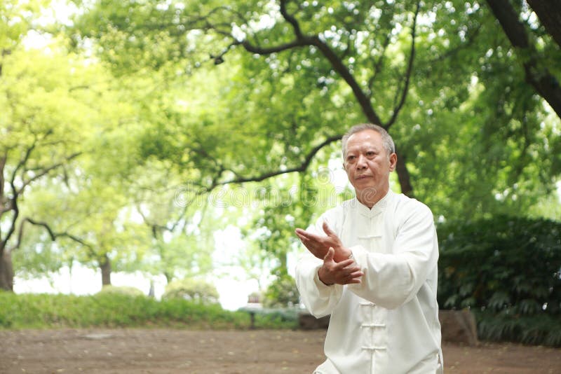 Chinese do taichi outside stock photo. Image of retired - 19833386