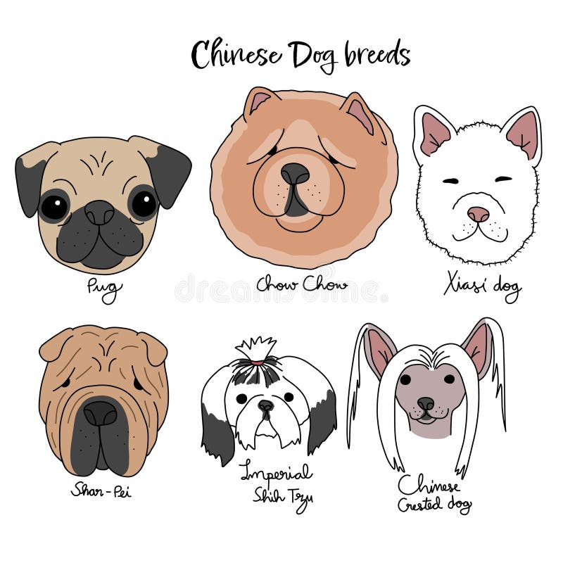 Chinese Dogs Cartoon