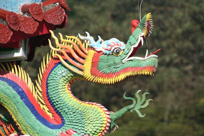 Chinese Dragons Picture. Image: 5318937