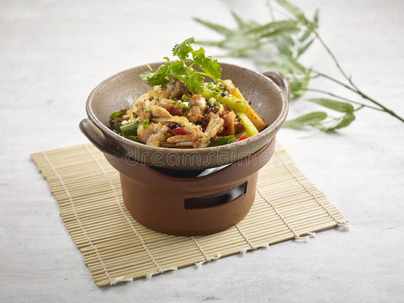 Chinese Dry Pot Bull Frog in a Dish Isolated on Stew on Mat Side View ...