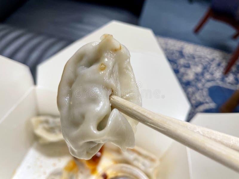 Chinese Dumpling, take-out stock image. Image of chopsticks - 275237341