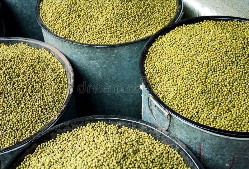 Chinese farm produce stock image. Image of detail, cooking - 2062569