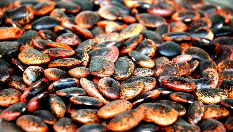 Chinese farm produce stock image. Image of balance, agriculture - 2062725