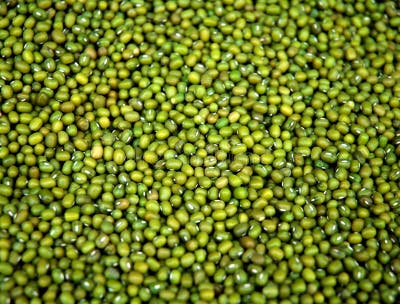 Chinese farm produce stock image. Image of cook, beautiful - 2062939