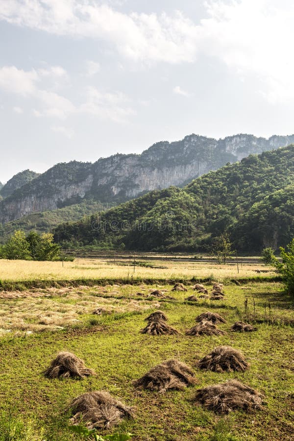 Old Chinese Farm House in Tropics Stock Photo - Image of cottages ...