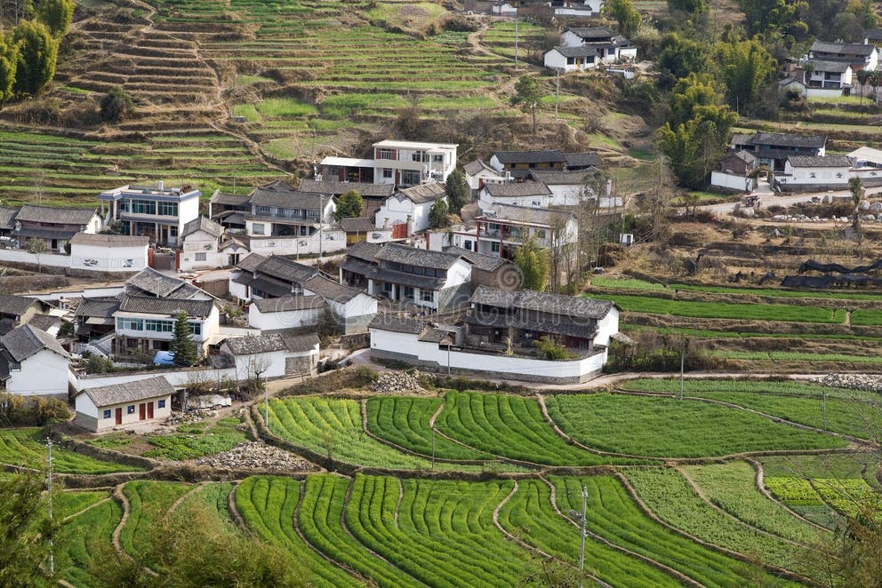 Chinese Farmland stock photo. Image of farmhouse, farm - 25451380