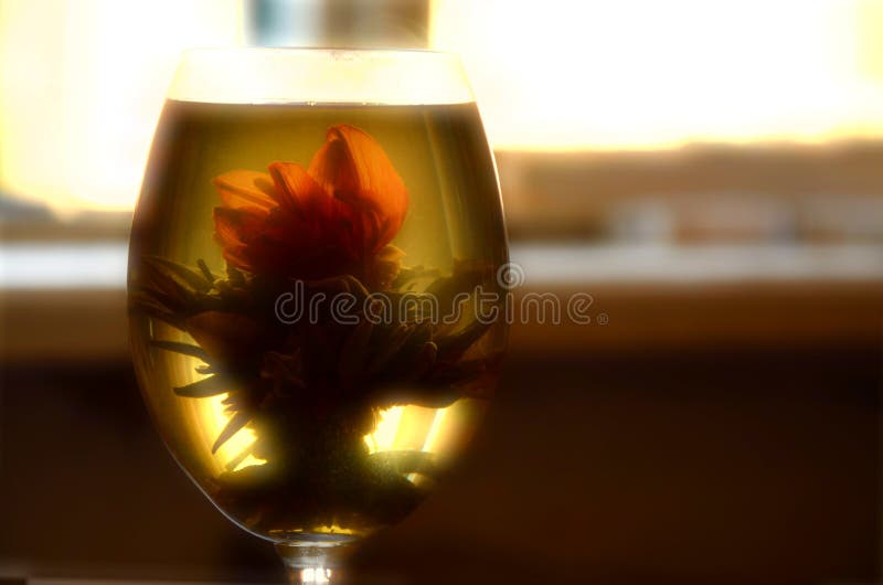 Chinese flower tea stock image. Image of flower, crop - 40988103
