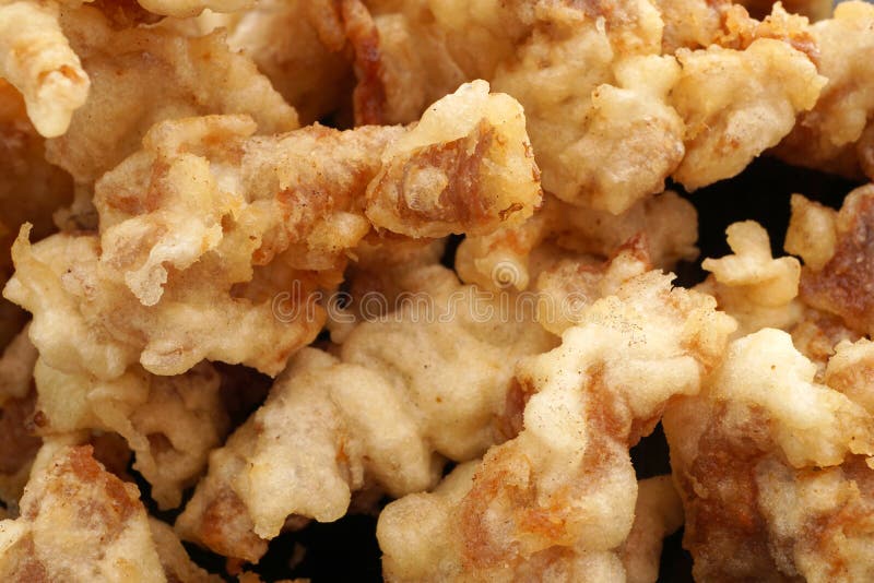 Chinese Food. Fried Dry Pork Stock Image - Image of healthy, asia: 81231003