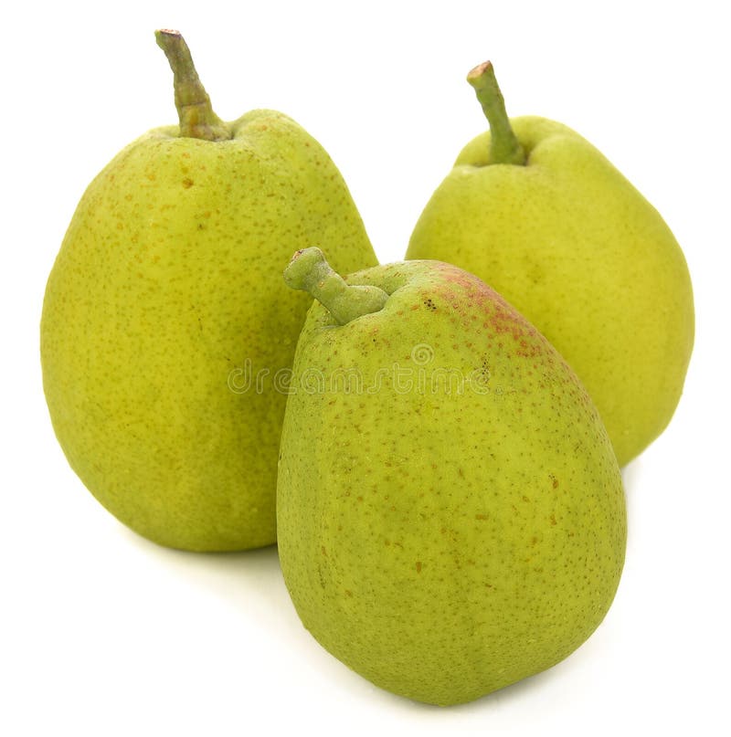 Fragrant Pear Stock Photos - Download 1,677 Royalty Free Photos